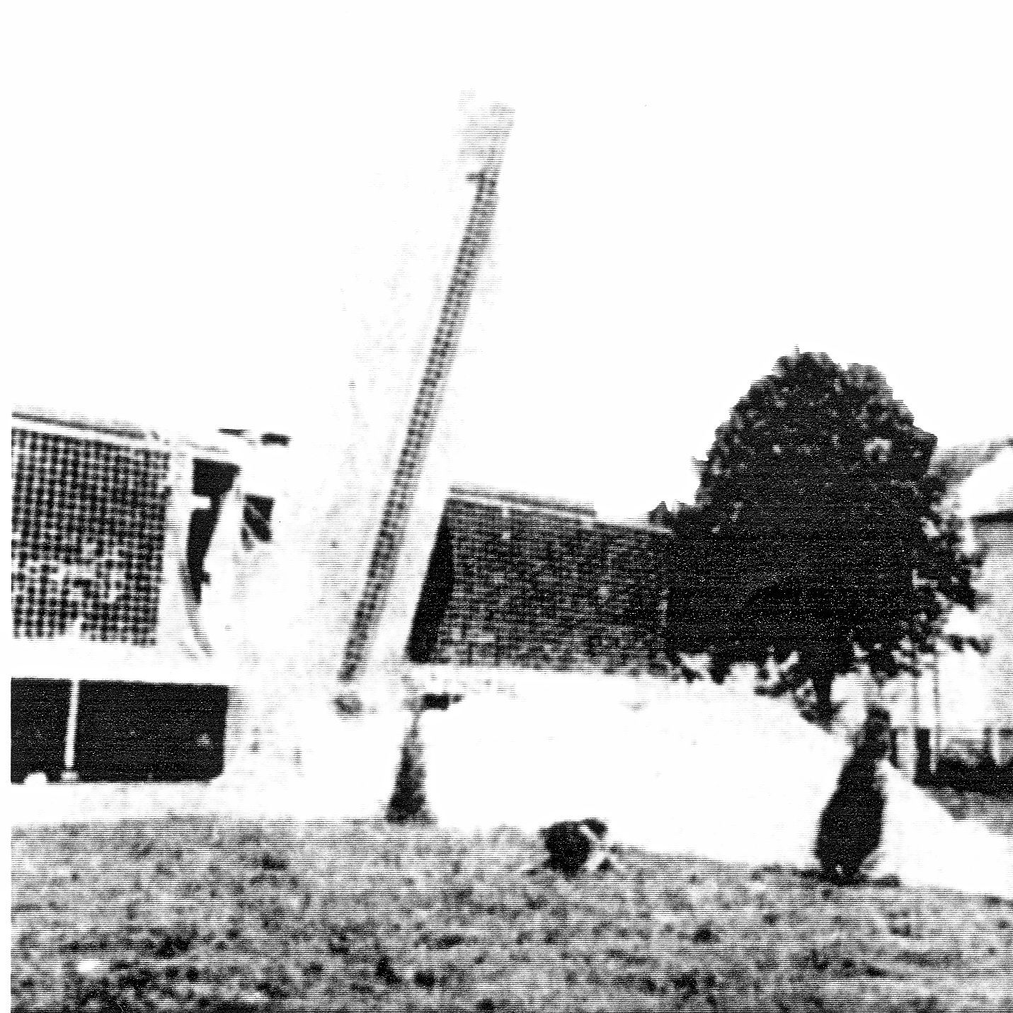 La salle Patenôtre - le Pays d'Yveline